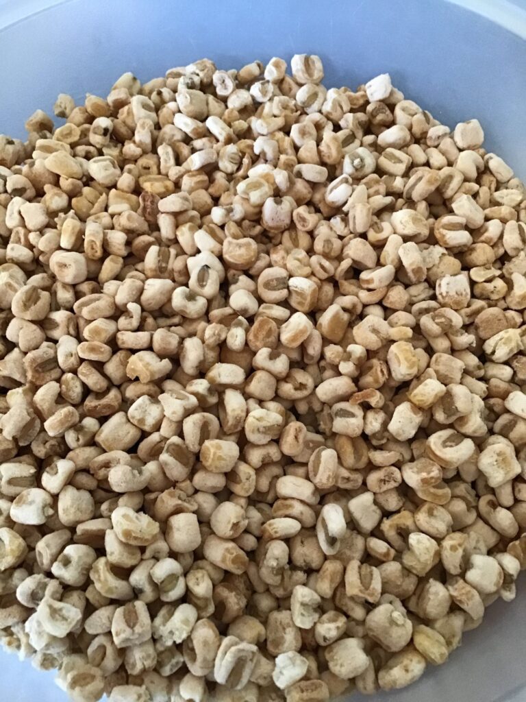 Dehydrated Lyed Corn – IndigenARTSY